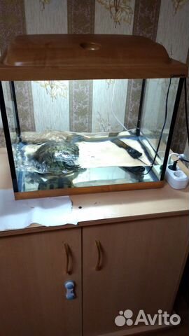 Аквариум С крышкой