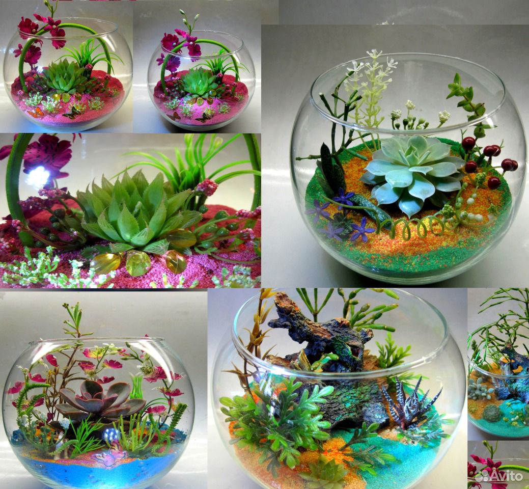 Аквариум с воздухом вместо воды