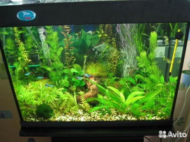 Аквариум15L50L новый + оборудование + рыбки