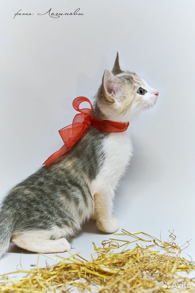 Малышка 2 месяца