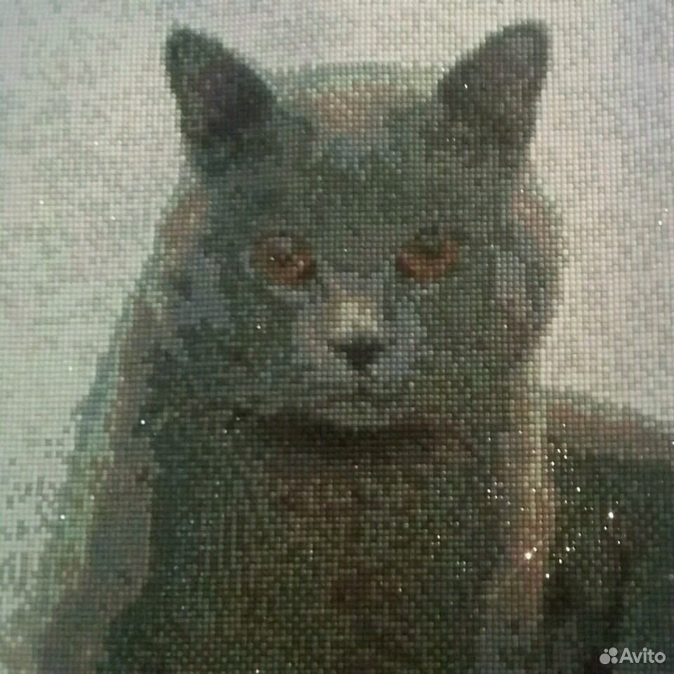Британский кот - алмазная вышевка