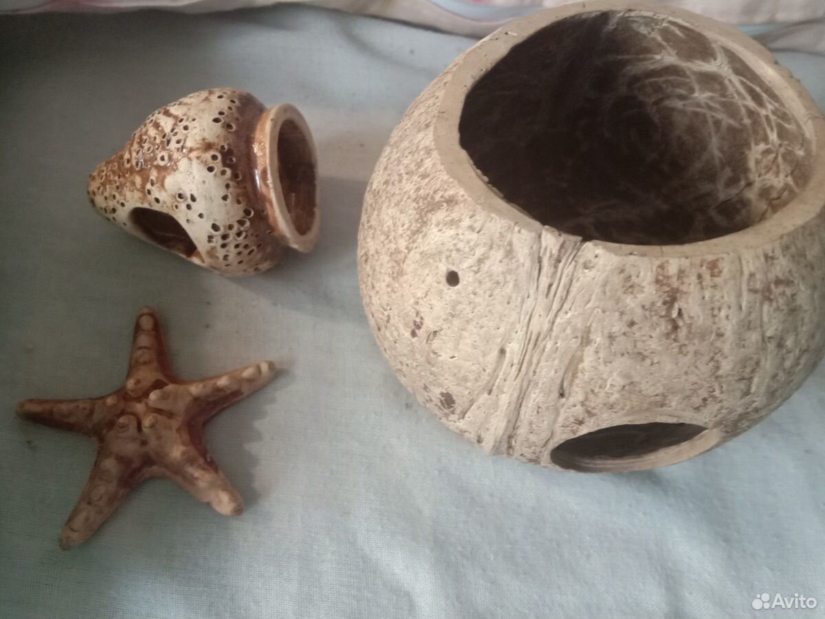 Товары для аквариума