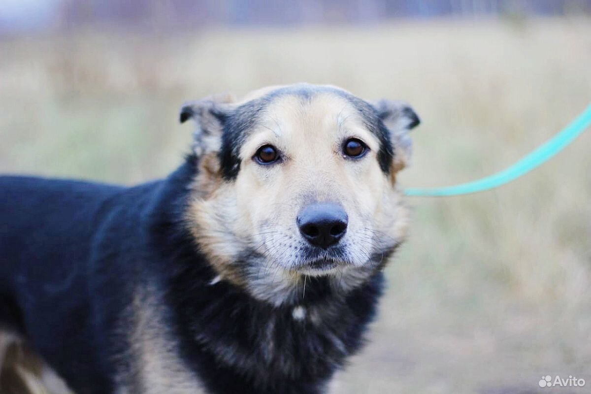 Дядечка Веня в дар