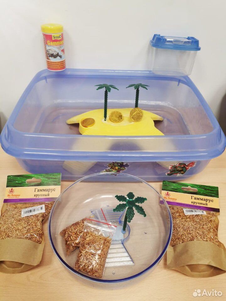 Аквариум для черепах (набор)