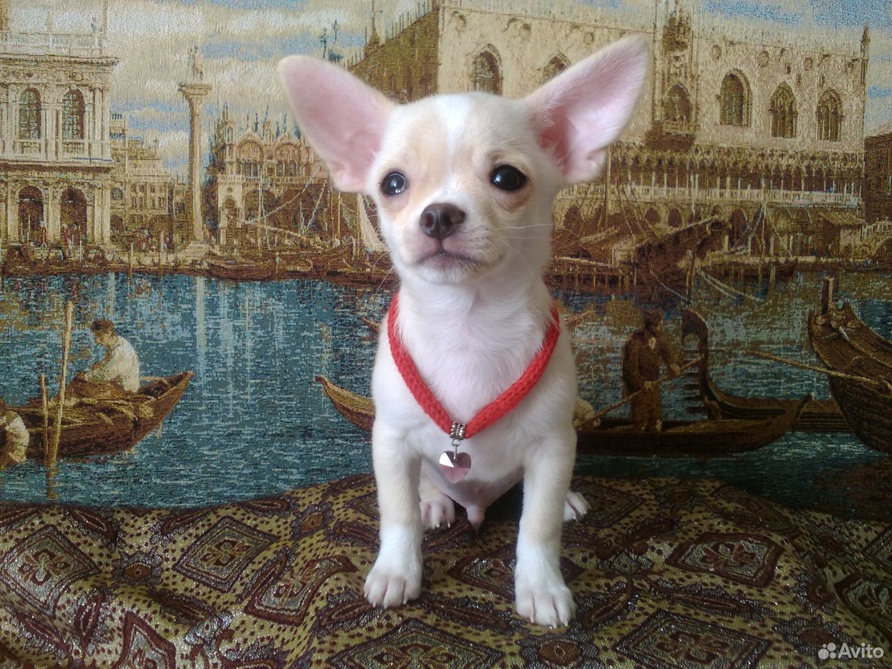 Тайна успеха