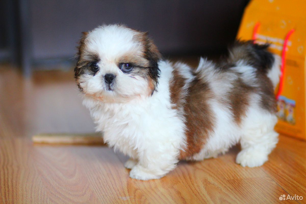 Удивительный Марсель