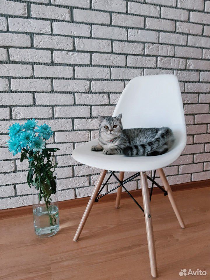 Вязка
