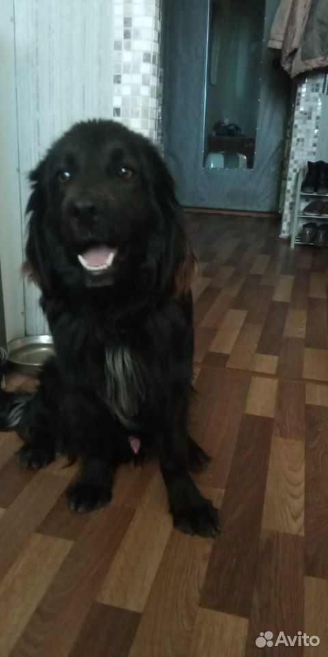 Почти водолаз