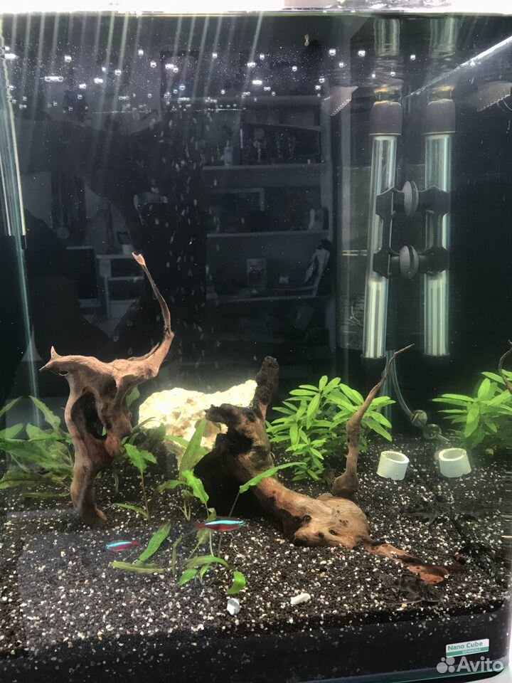 Аквариум 60 л с рыбками и всем оборудованием