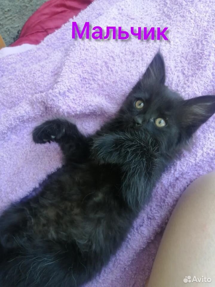 Мальчики и девочка