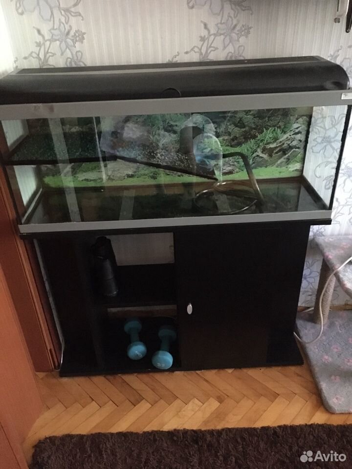 Аквариум, террариум