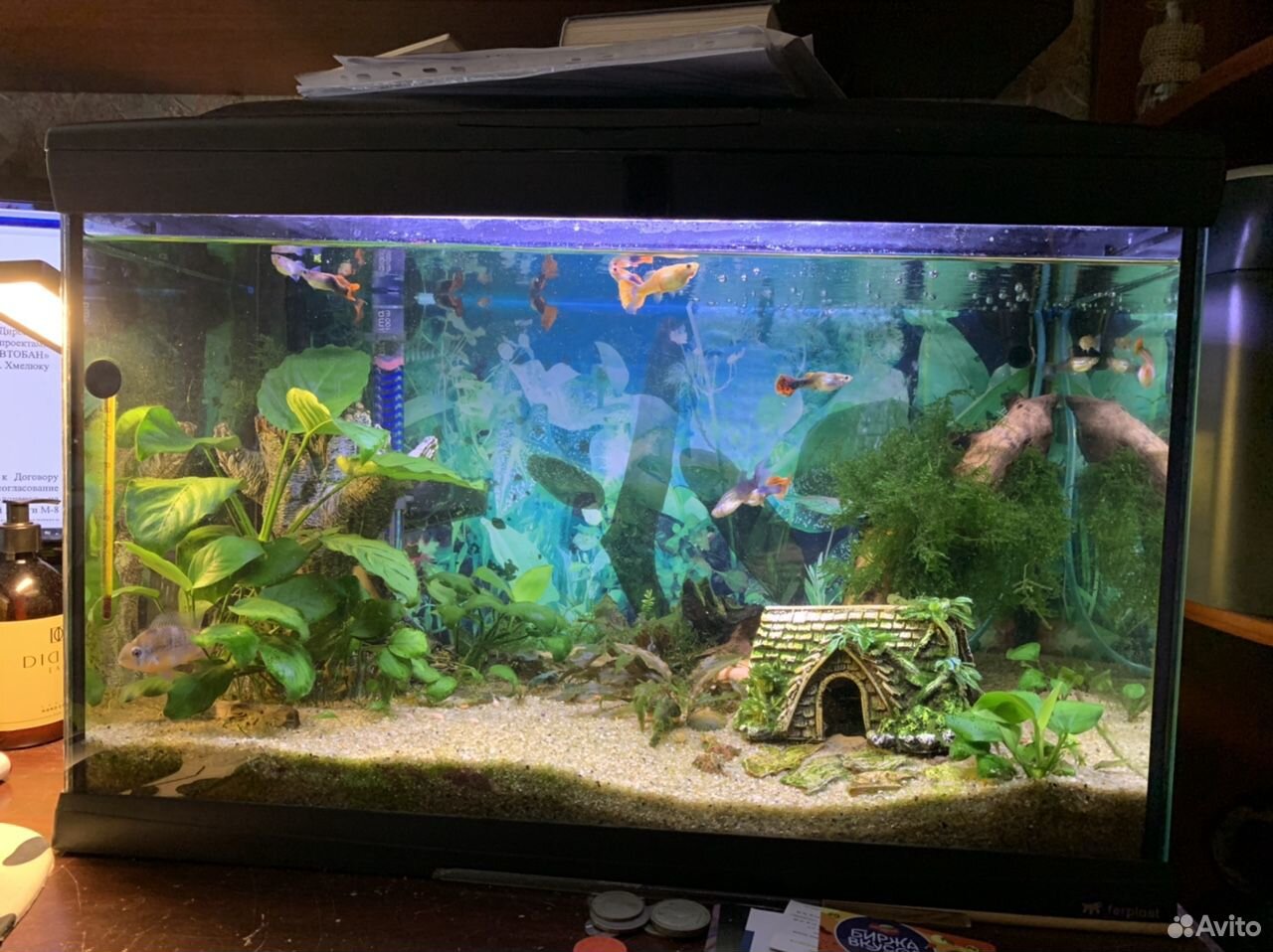 Аквариум с рыбками, внешним фильтром, компрессором