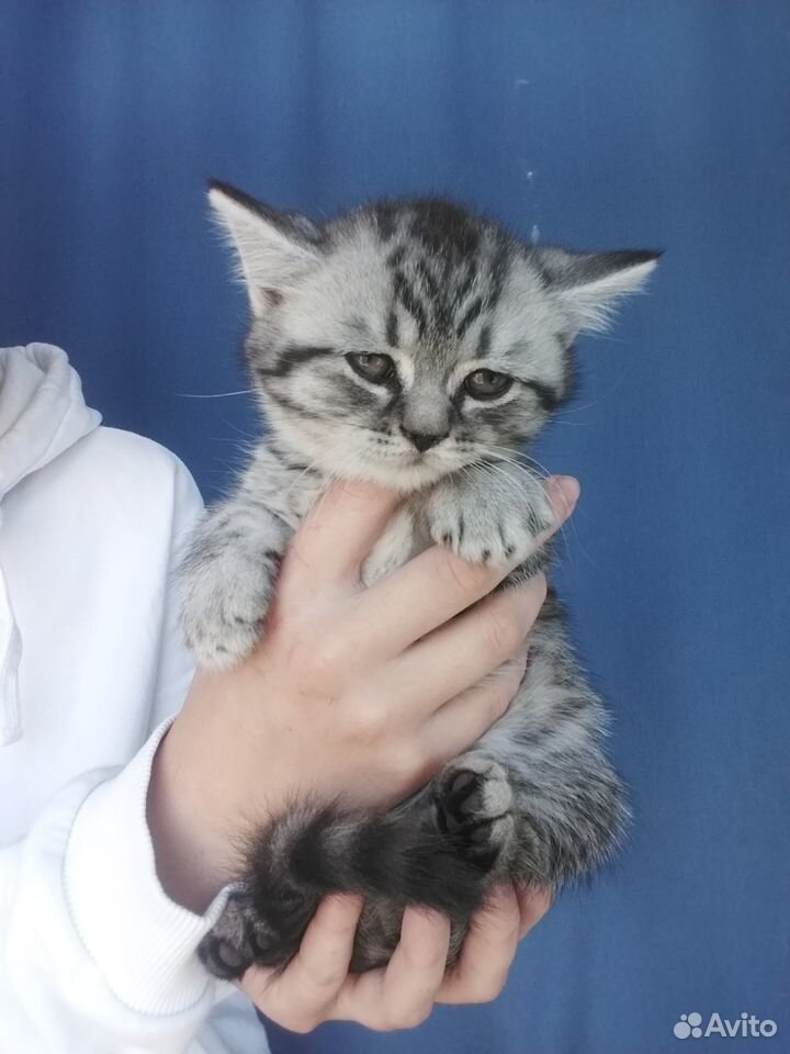 Мальчик и девочка