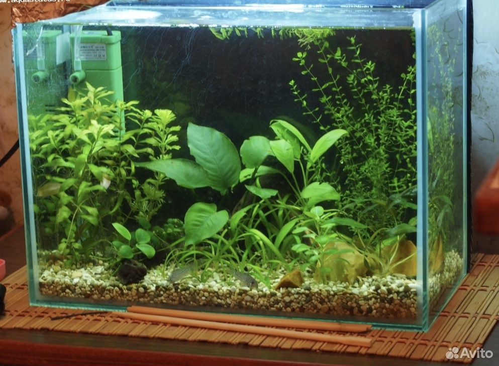 Аквариум