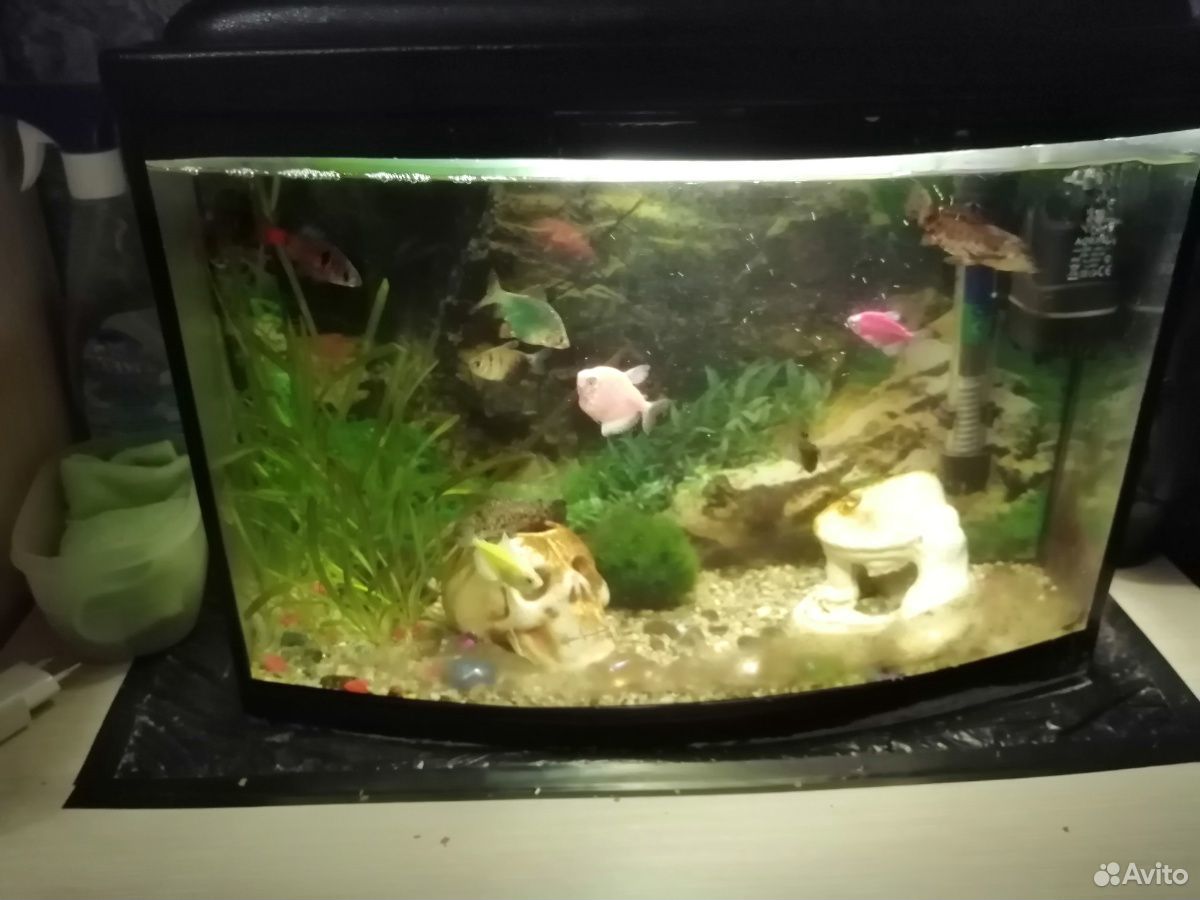 Аквариум 25 л