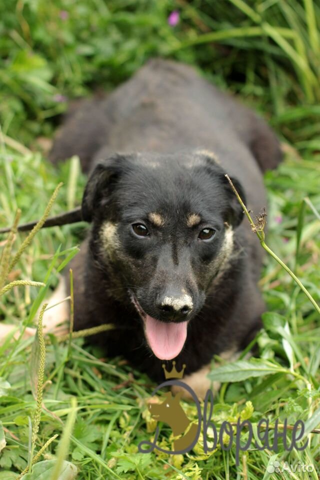 Обаятельная Кэтти в дар