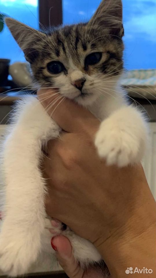 Два Комочка счастья Мальчик и Девочка