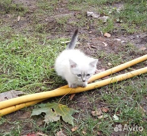 Милая малышка