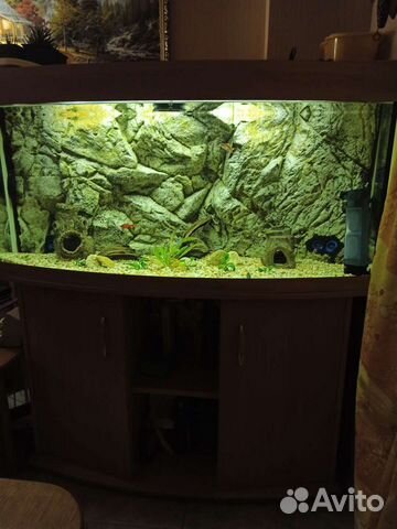 Аквариум