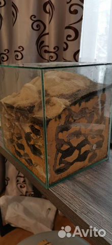 Муравейник, формикарий