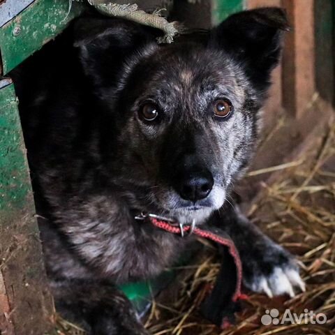 Дина в приюте 8 лет, но всё ещё верит в чудо
