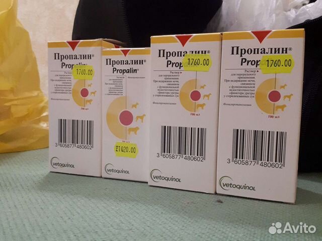 Пропали