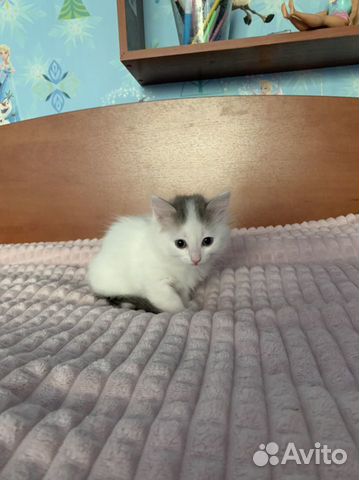Маленькие крошки в нежные, добрые руки