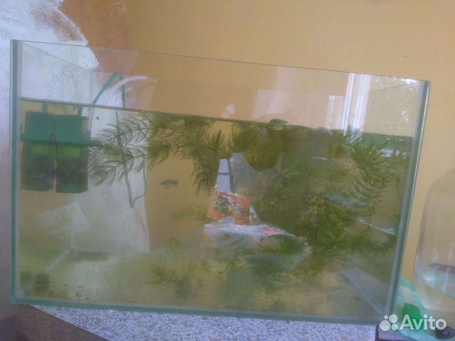 Аквариум с рыбками