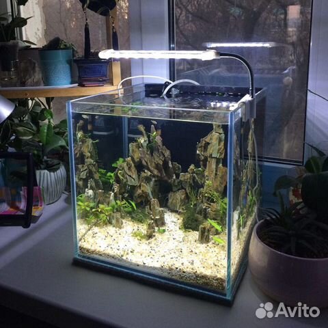 Аквариум cube куб 30х30х30