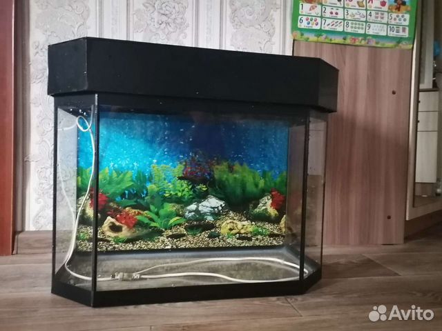Аквариум 70л
