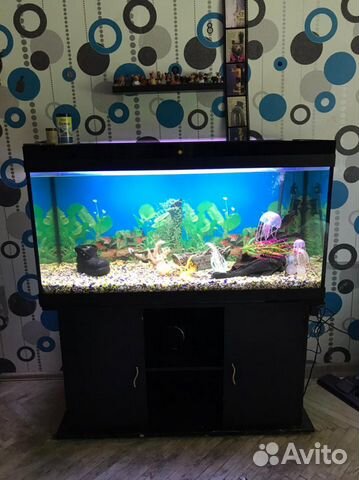 Аквариум 400л со всем оборудованием и интерьером