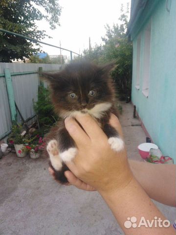 Милая малышка