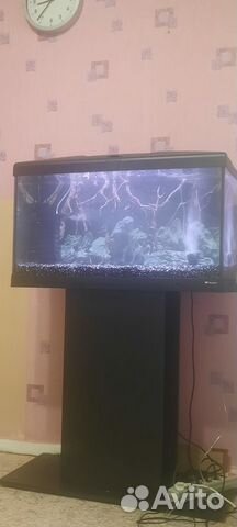 Продажа аквариумов