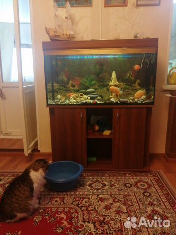 Аквариум 250литров