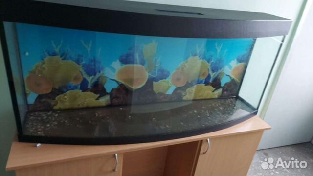 Аквариум с тумбой 300 литров