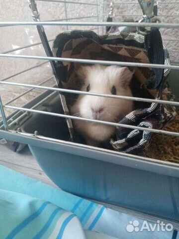 Ищем жениха)