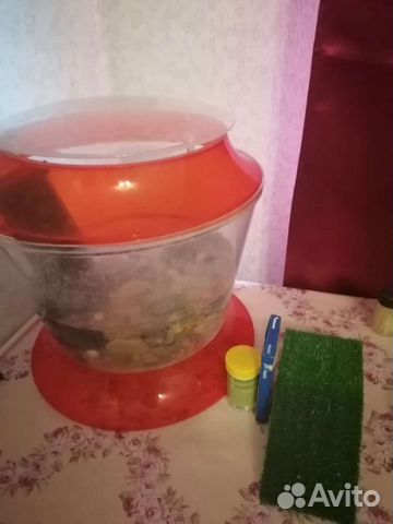 Аквариум с красноухой черепахой