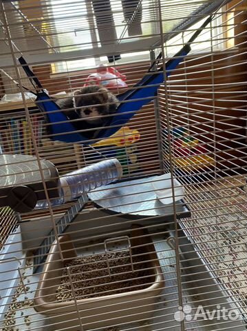 Клетка Ferplast Furet XL