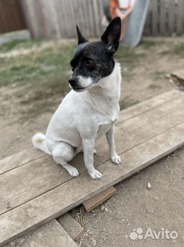 Малышка на миллион