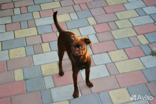 Мальчик Оливер