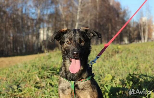 Замечательная маленькая девочка ищет любящую семью