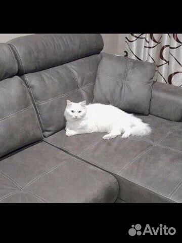 Отдам в хорошие руки