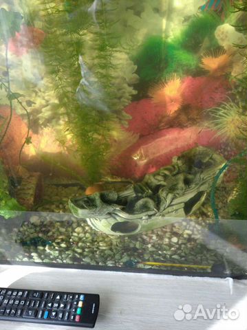 Аквариум