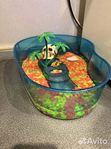 Черепаха с аквариумом