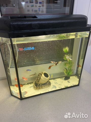 Аквариум