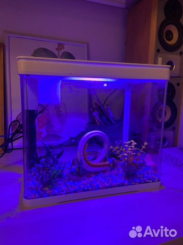 Аквариум 15 л с декором, фильтром и кормушкой