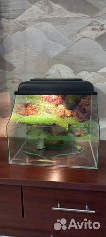 Аквариум для черепах