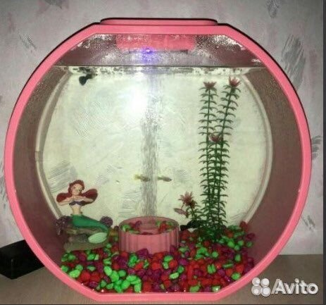 Аквариум