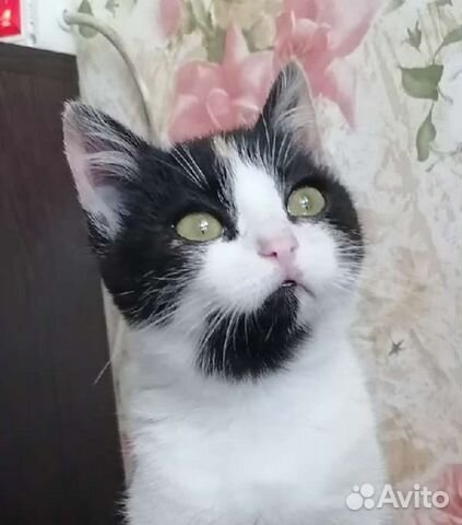 Единственная и неповторимая