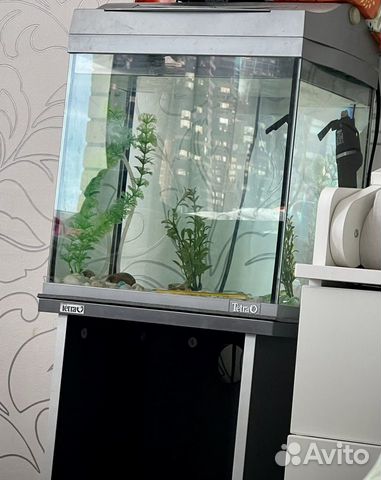 Аквариум Tetra 30 лит. и тубма